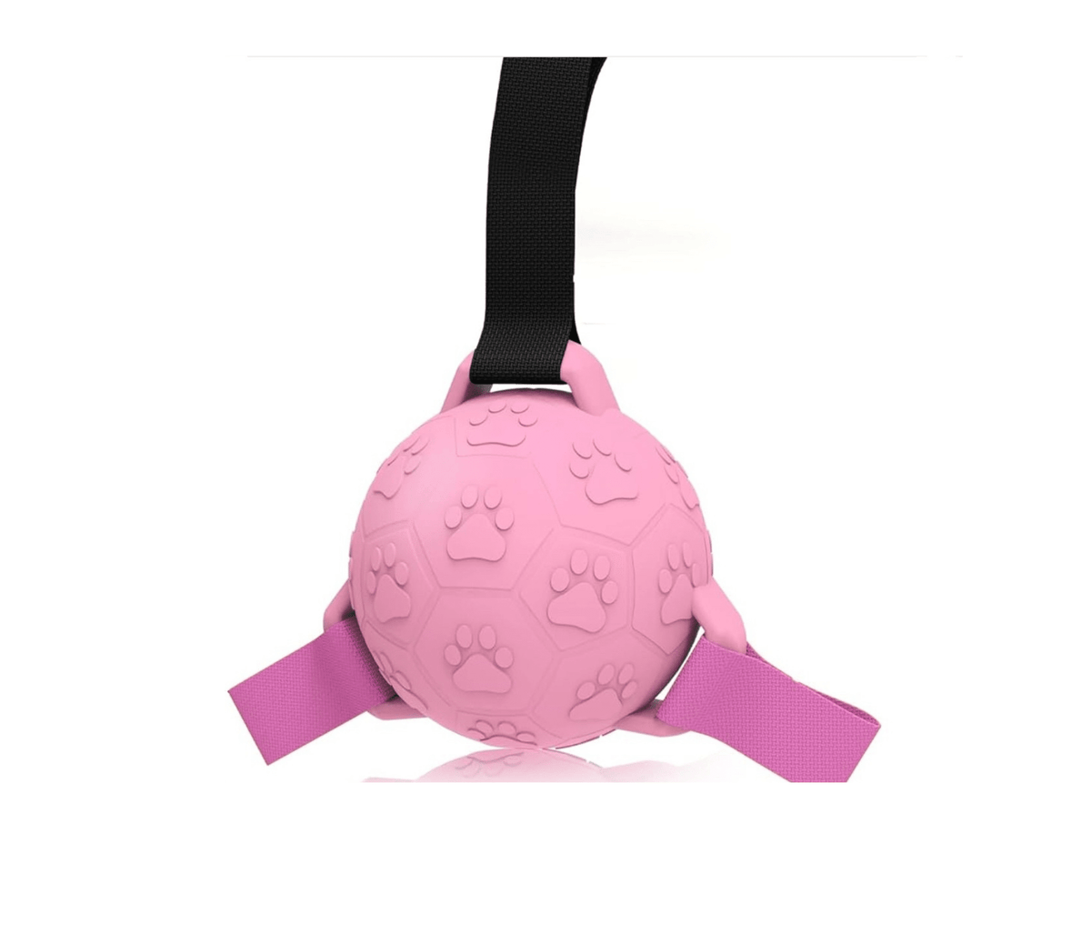 Ball Dog Toy – Ocean Lab Brewing Co.