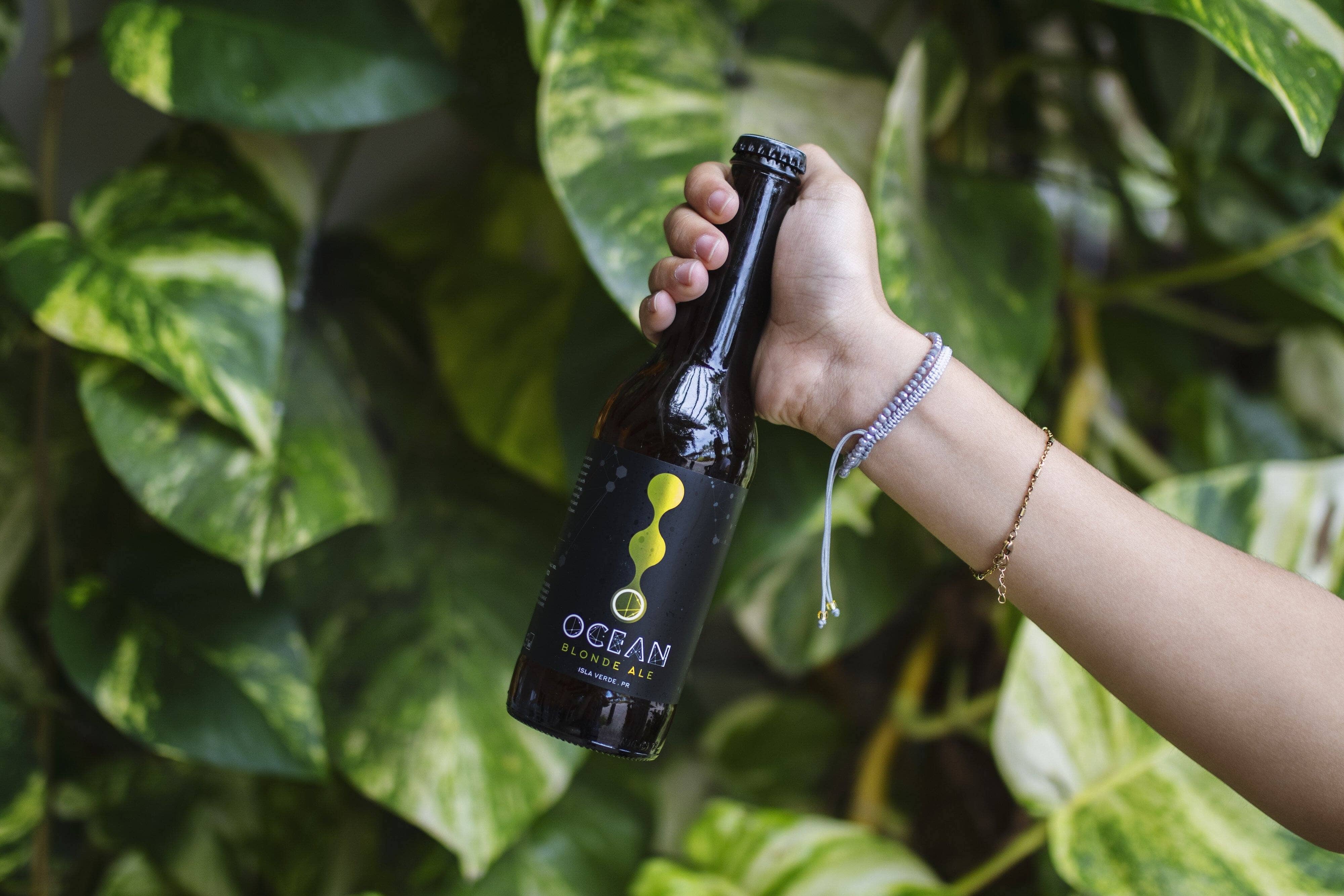 Blonde Ale - Puerto Rico's Beach Beer - Ocean Lab – Ocean Lab Brewing Co.