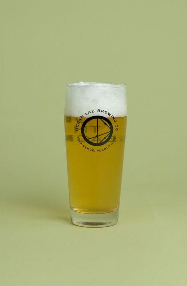 Pint Glass - Born on the Beach - Ocean Lab Brewing Co.