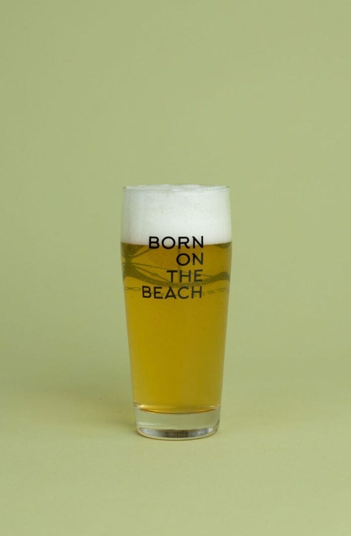 Pint Glass - Born on the Beach - Ocean Lab Brewing Co.