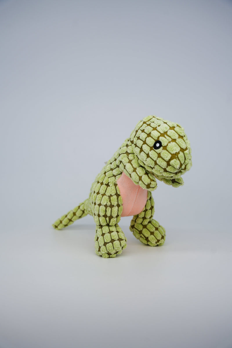 Dinosaur Dog Toy – Ocean Lab Brewing Co.