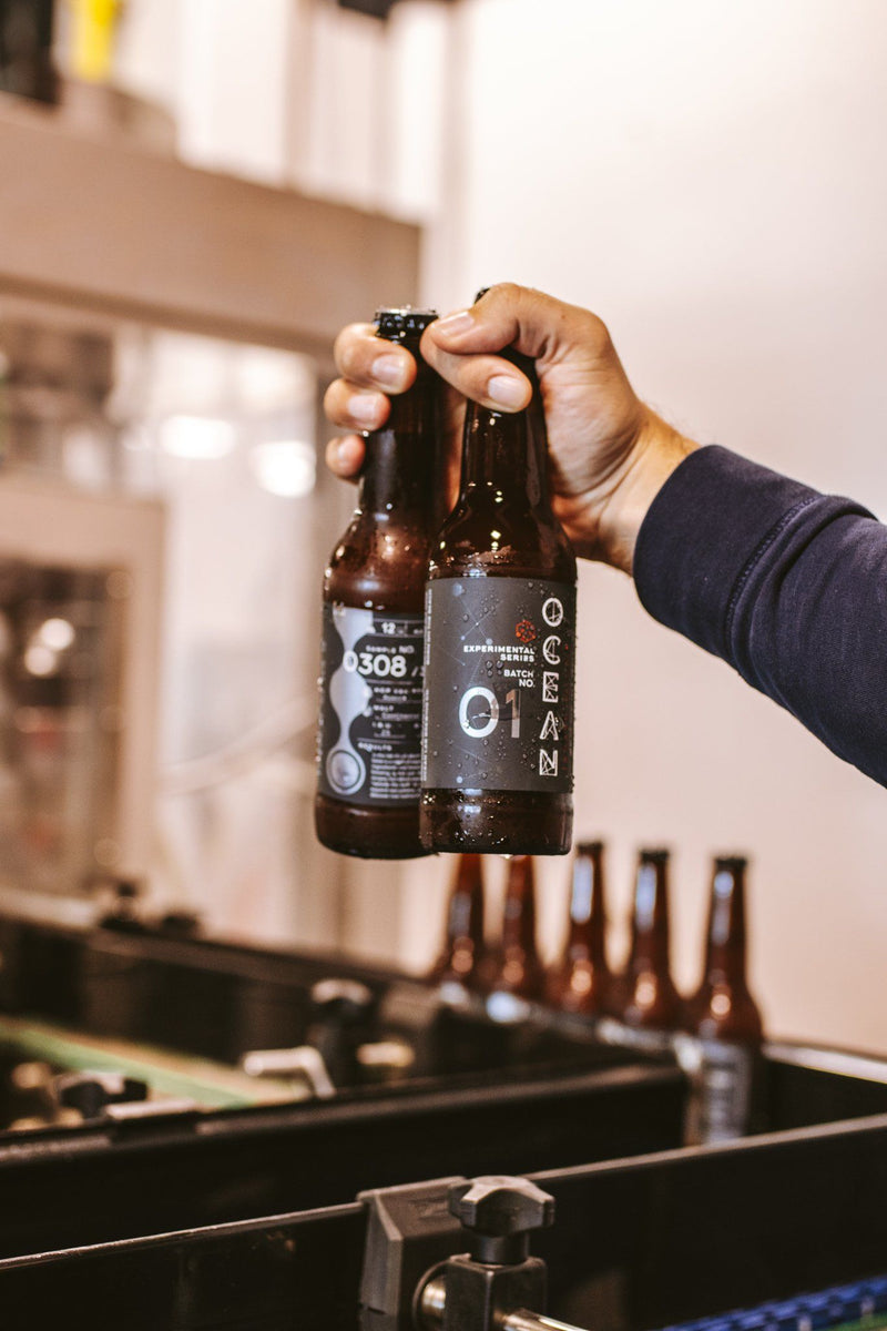 Experimental Batch 01 – Ocean Lab Brewing Co.